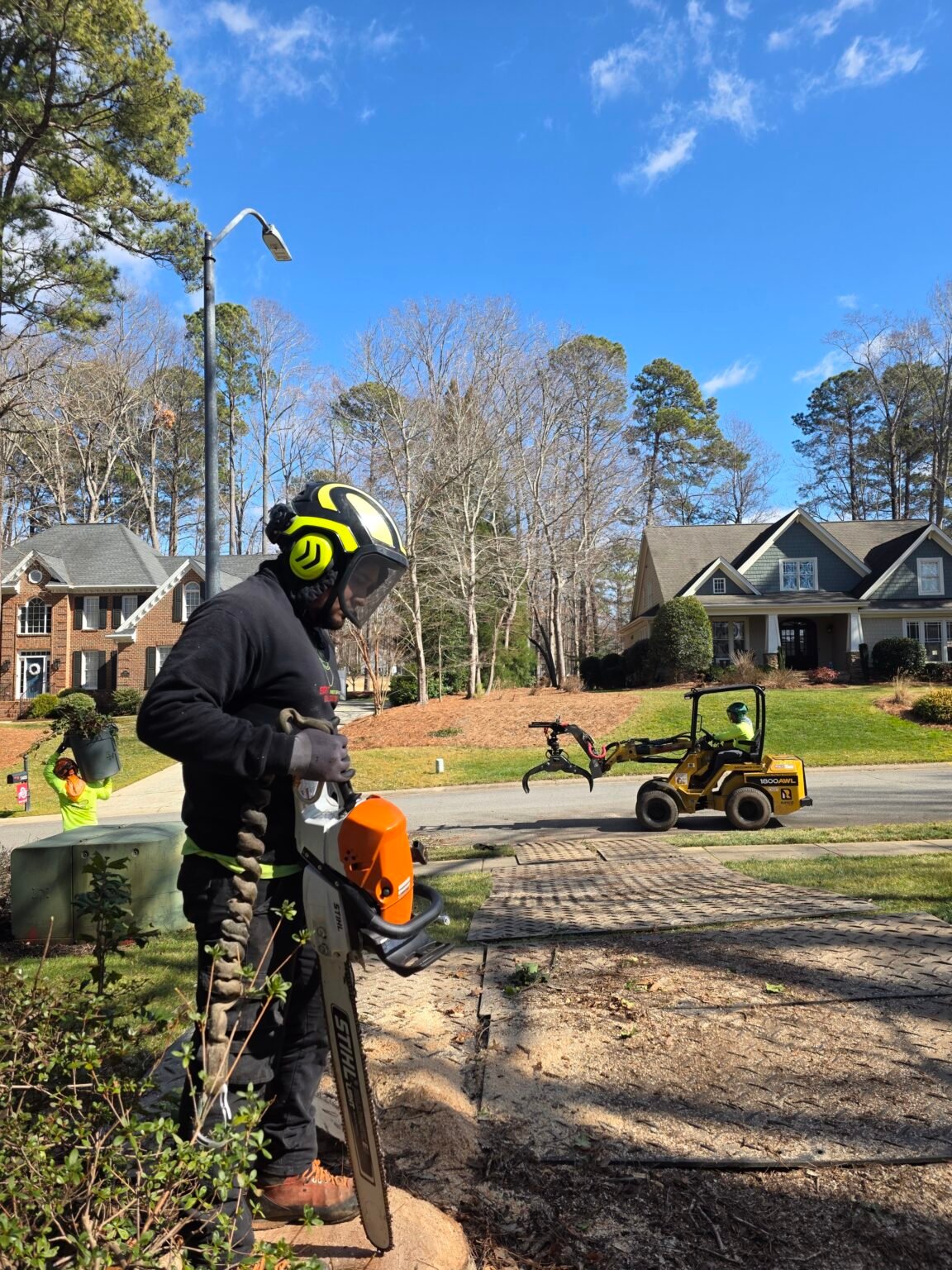 Tree Service Tree Removal Durham - Smart Tree Service